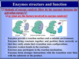 02- Enzymes structure and function.pptx