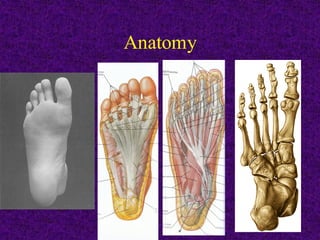 02- EXAMINATION OF THE FOOT AND ANKLE1.pdf