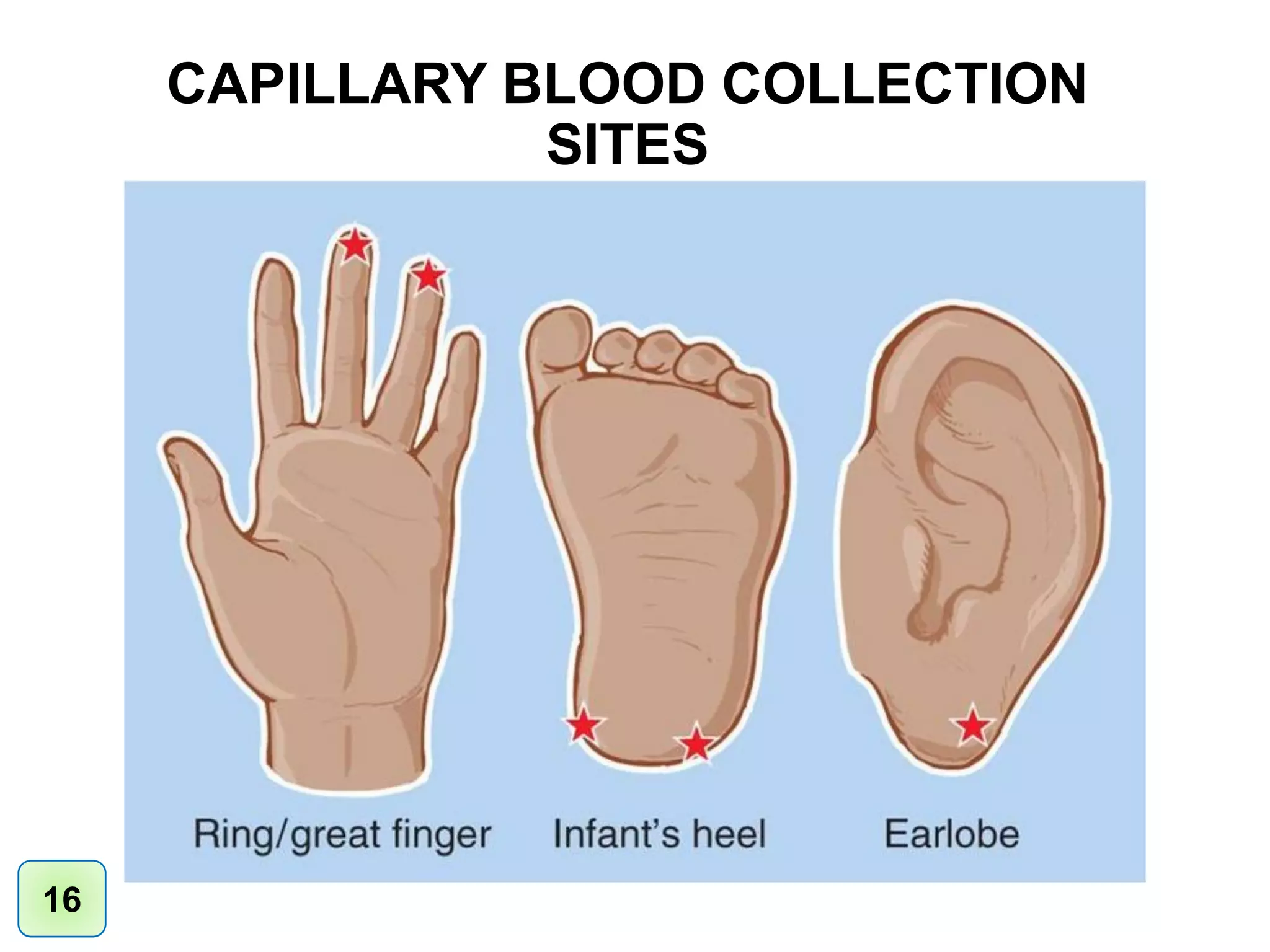 Blood sample collection | PDF