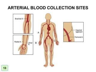 Blood sample collection | PDF