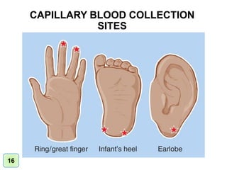 Blood sample collection | PDF