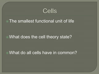 02 levels of organization | PPTX