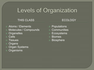 02 levels of organization | PPTX