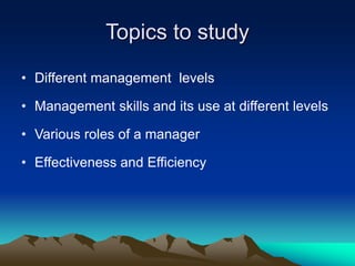 02-Management Skills and Managerial Roles.ppt