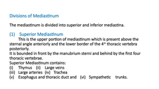 02-Mediastinum and it's anatomy and association | PPTX