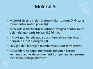 02 - Metabolisme Air 2023.pptx