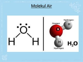 02 - Metabolisme Air 2023.pptx