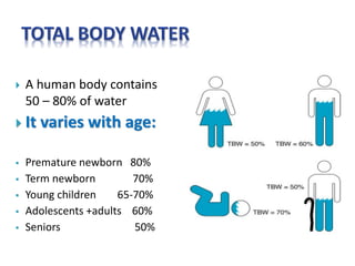 Biochimica L changes Mineral water ion disorders in human | PDF