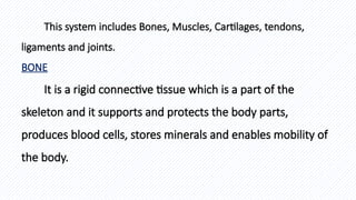 02-Musculoskeletal System ( anatomy lacture ) | PPTX
