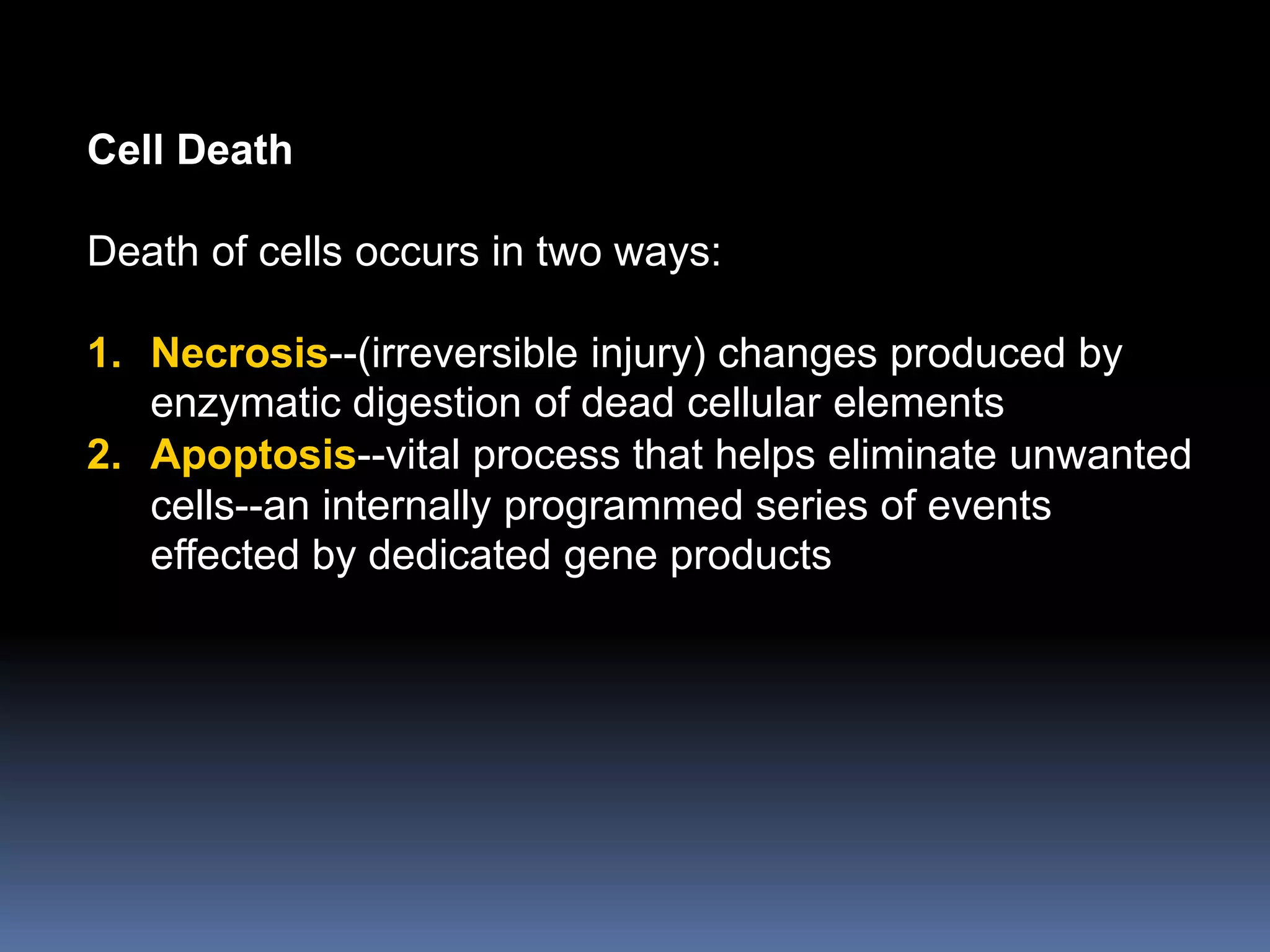 02-Necrosis and apoptosis-1.ppt