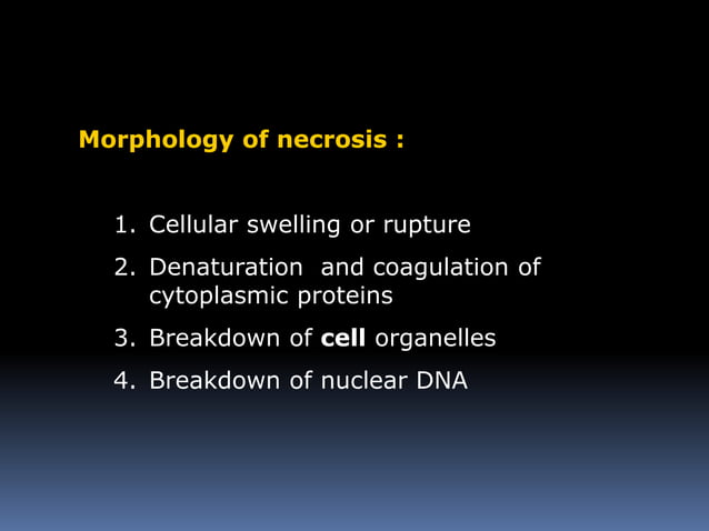 02-Necrosis and apoptosis-1.ppt