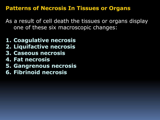02-Necrosis and apoptosis-1.ppt
