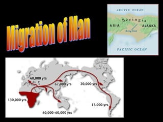 02 neolithic revolution | PPT