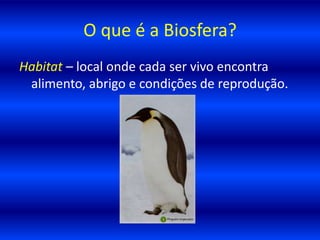 02 o que é a biosfera | PPTX