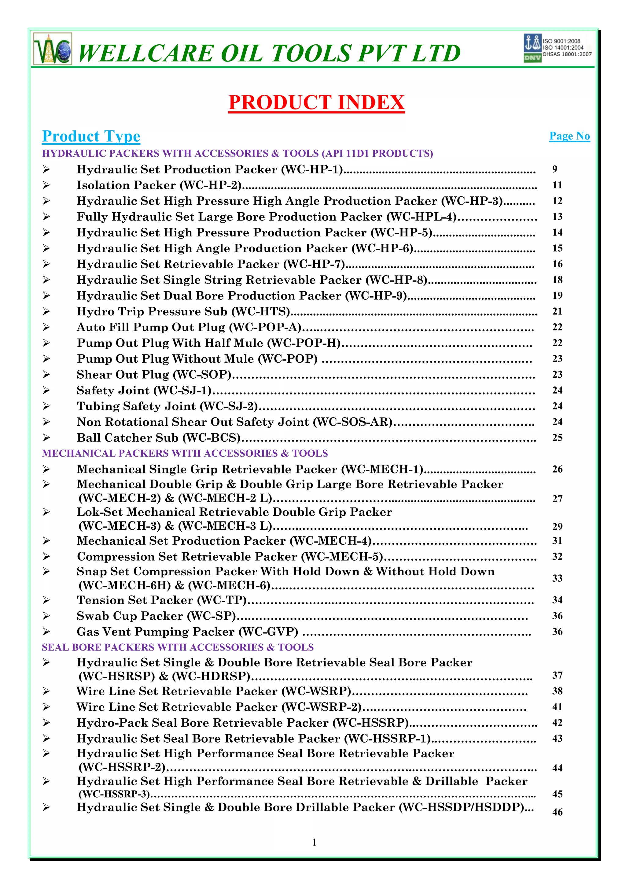 Packers & bridge plugs | PDF