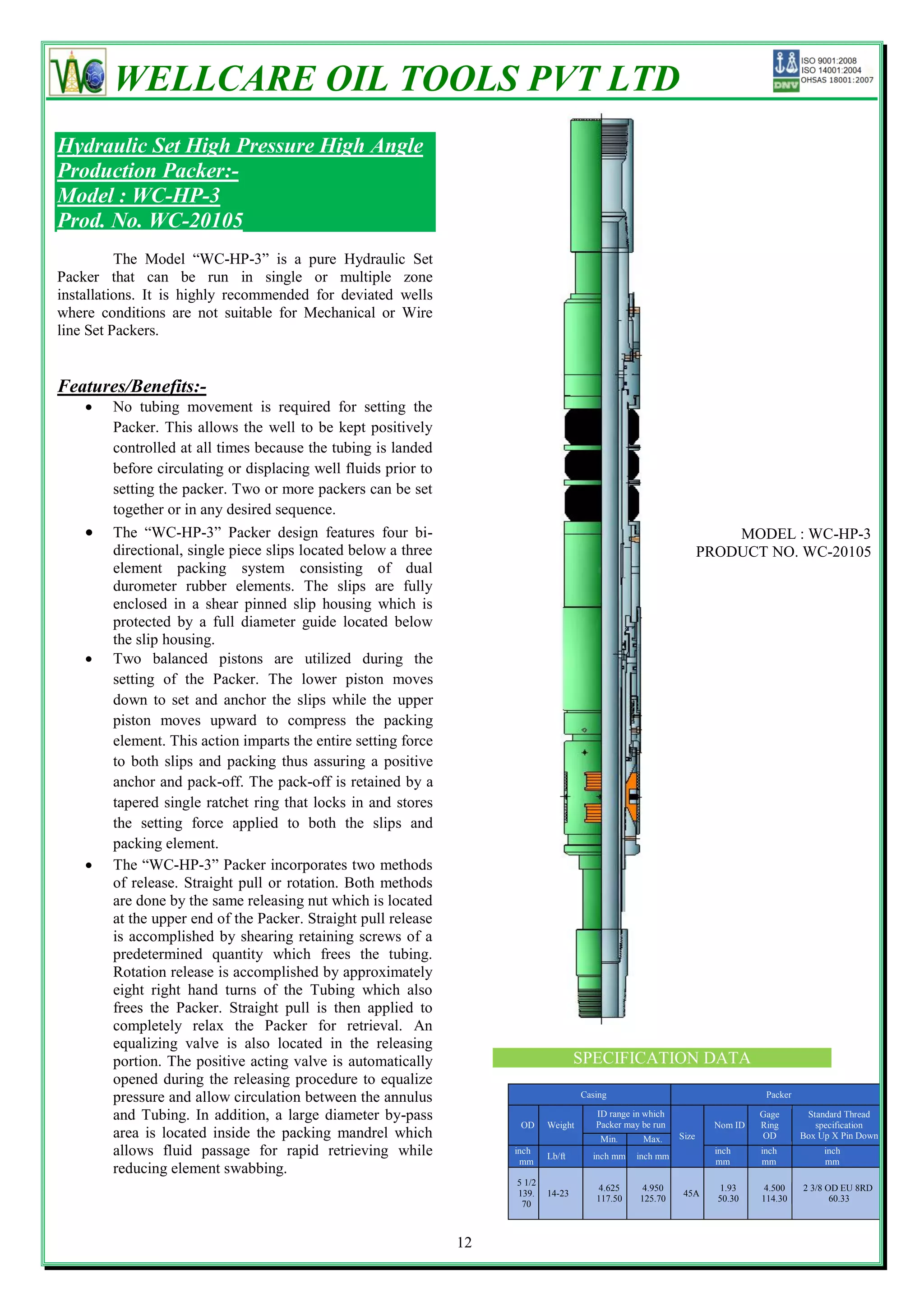 Packers & bridge plugs | PDF