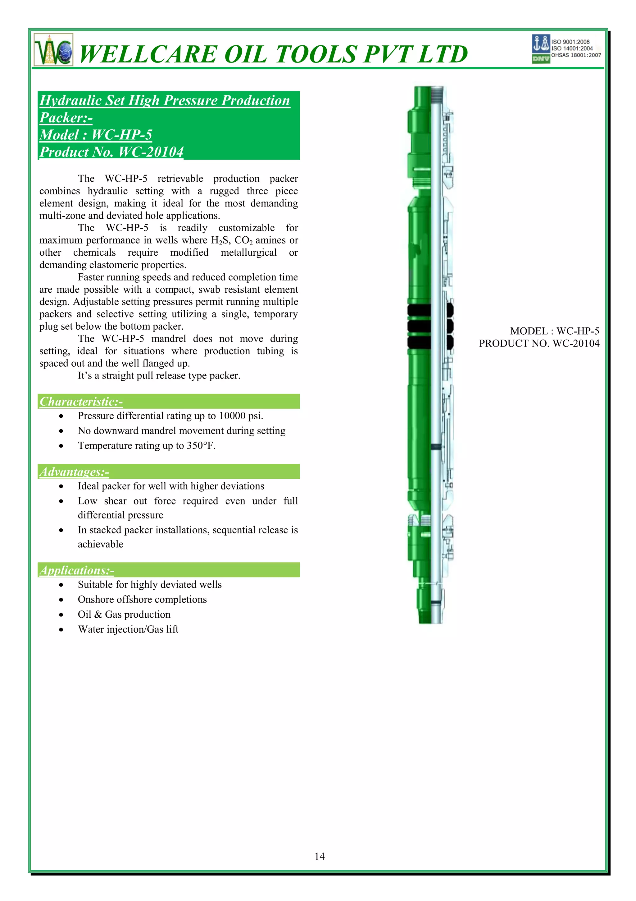 Packers & bridge plugs | PDF | Physics | Science