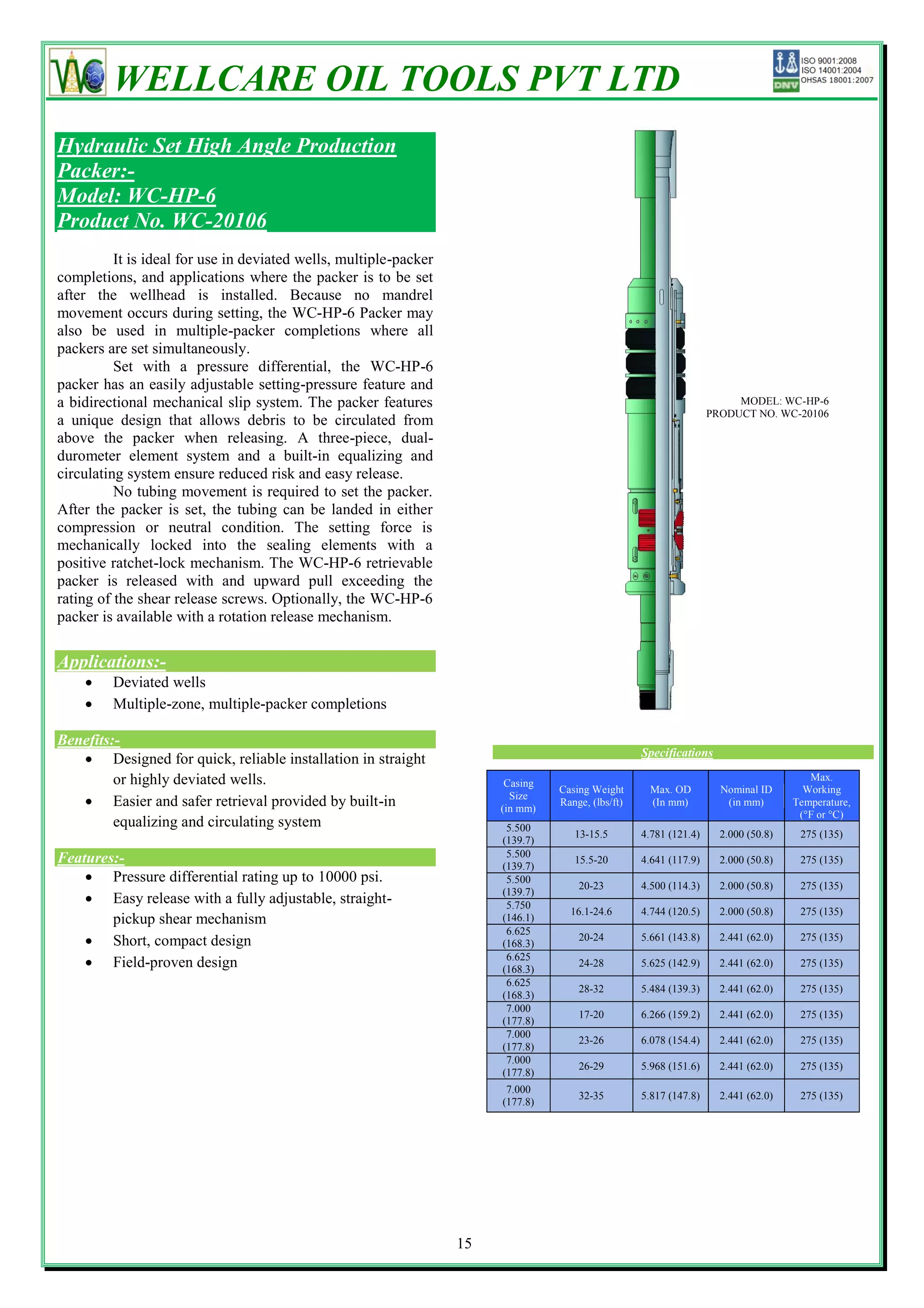 Packers & bridge plugs | PDF