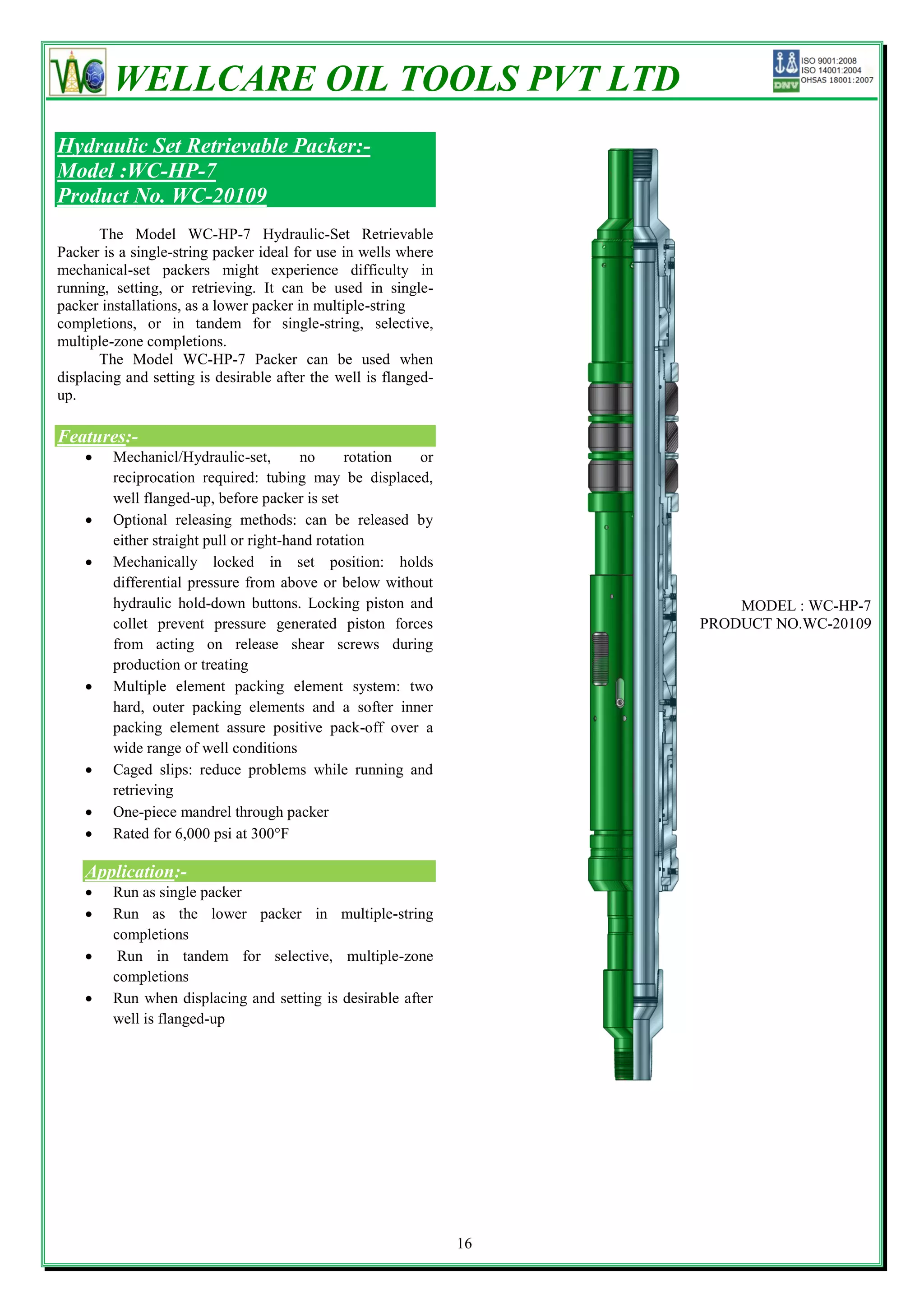 Packers & bridge plugs | PDF