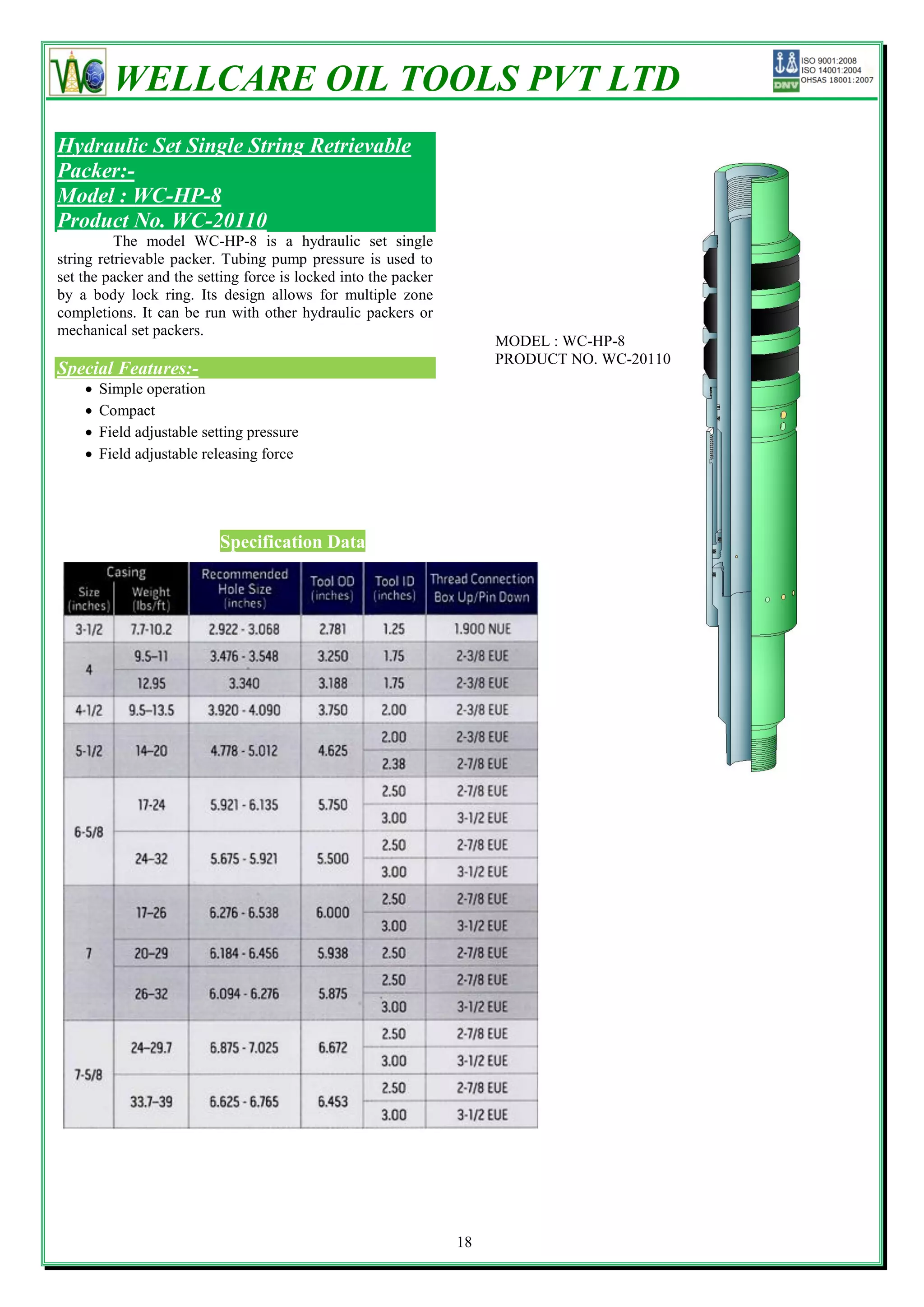 Packers & bridge plugs | PDF