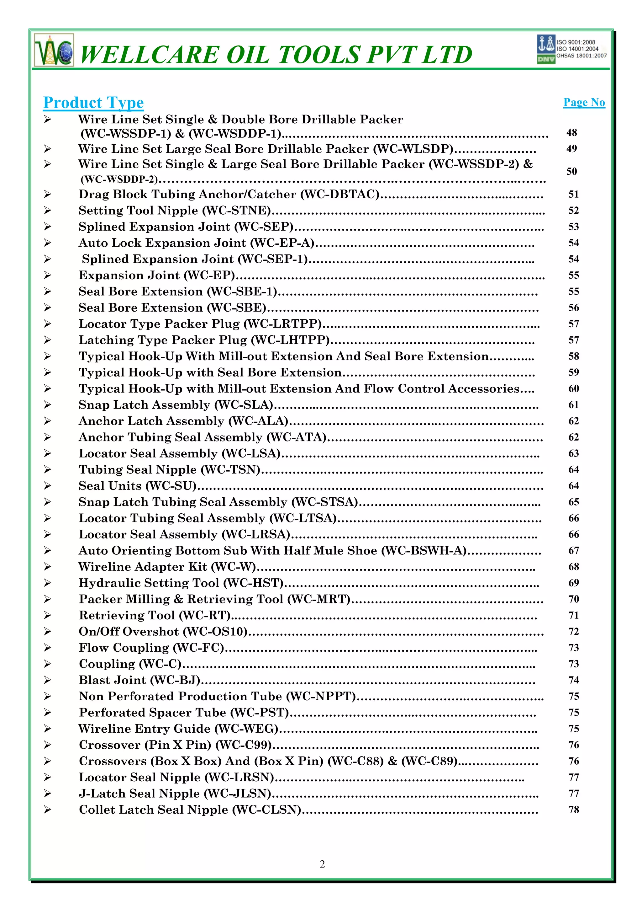 Packers & bridge plugs | PDF