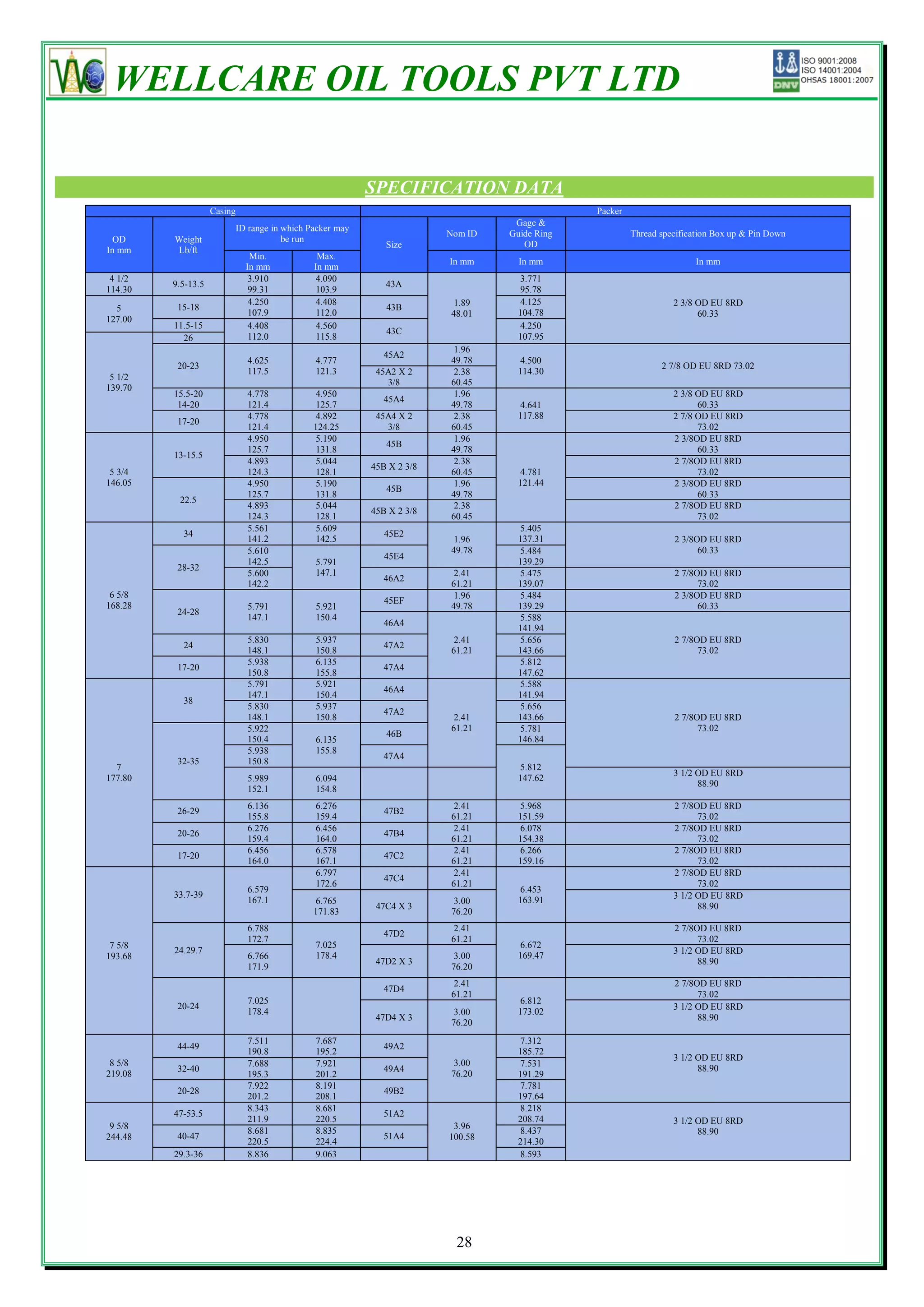 Packers & bridge plugs | PDF