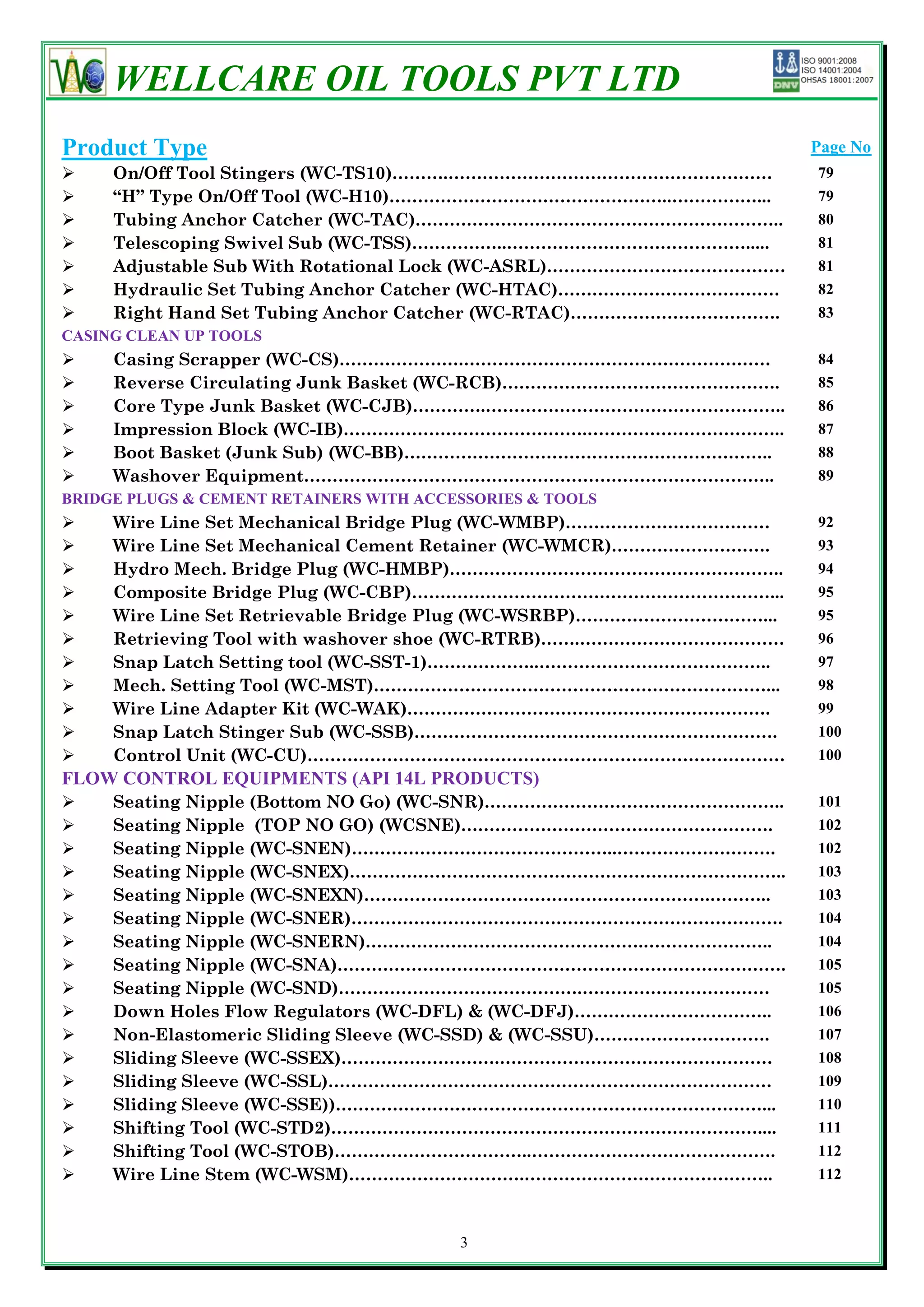 Packers & bridge plugs | PDF