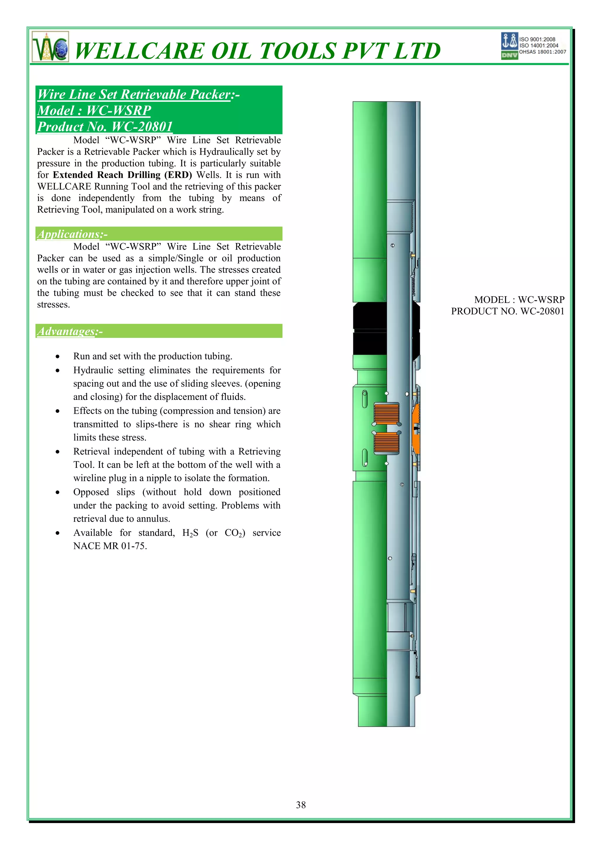 Packers & bridge plugs | PDF