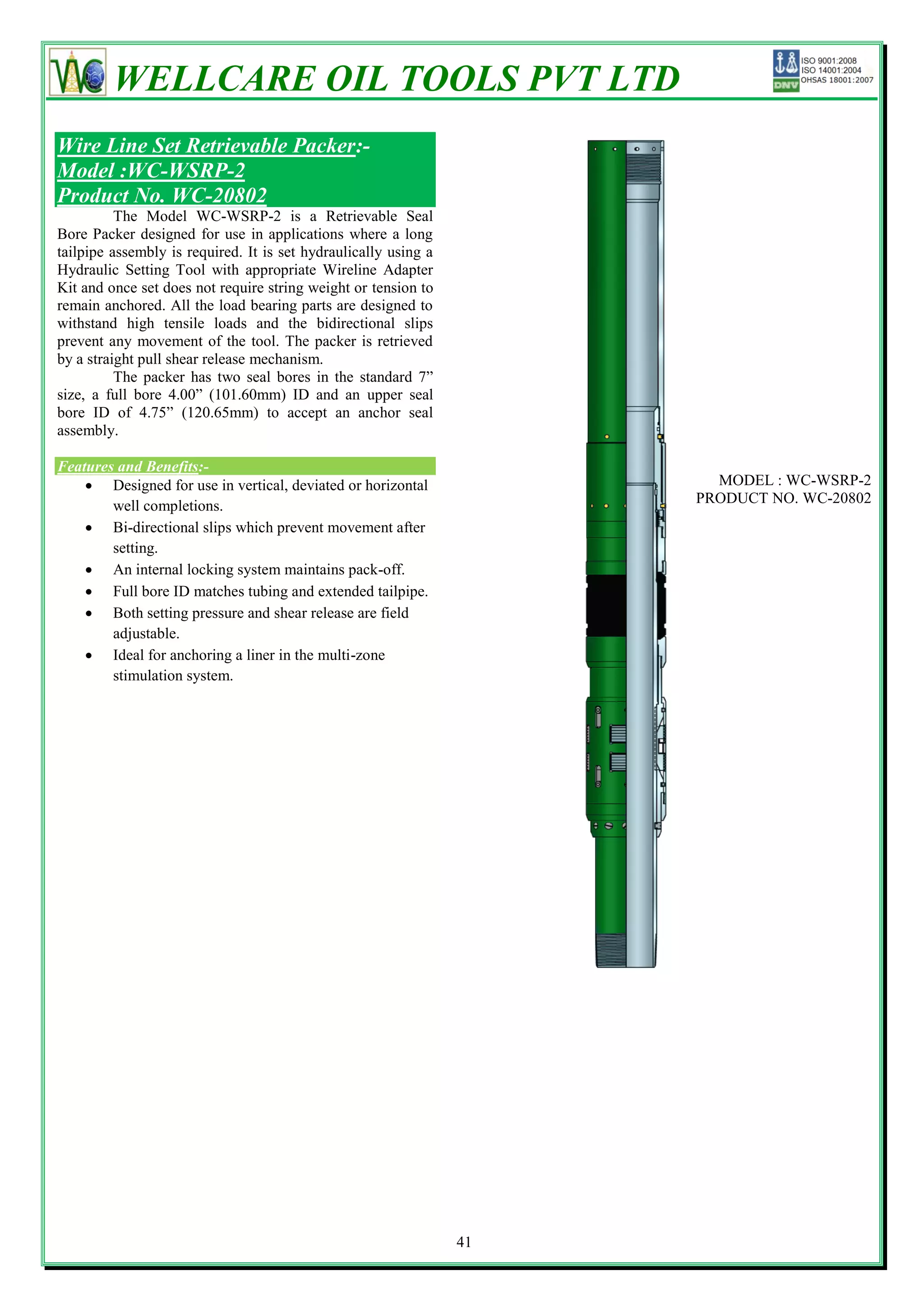 Packers & bridge plugs | PDF