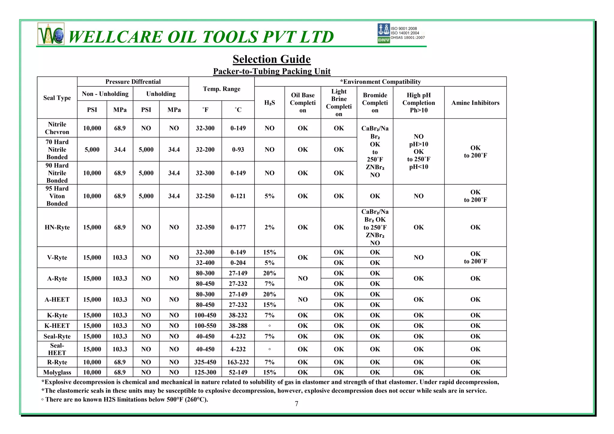 Packers & bridge plugs | PDF