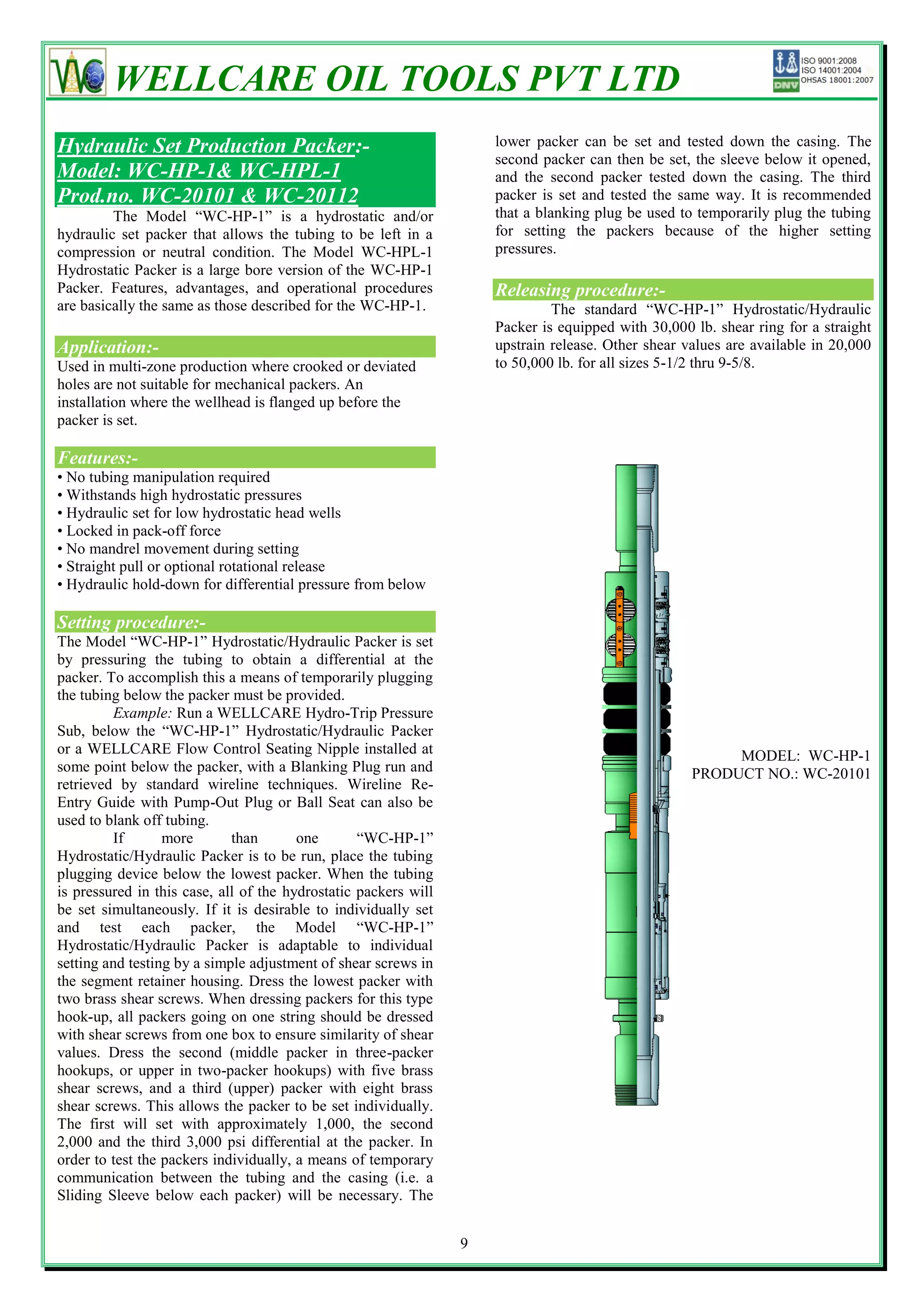 Packers & bridge plugs | PDF