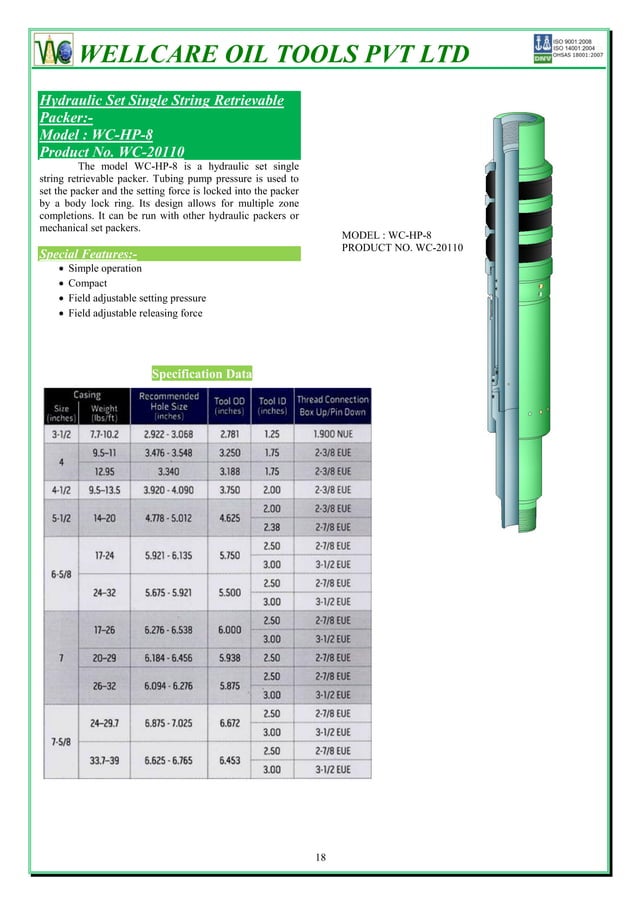 Packers & bridge plugs | PDF | Physics | Science