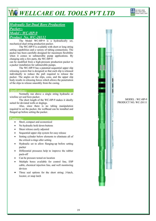Packers & bridge plugs | PDF | Physics | Science