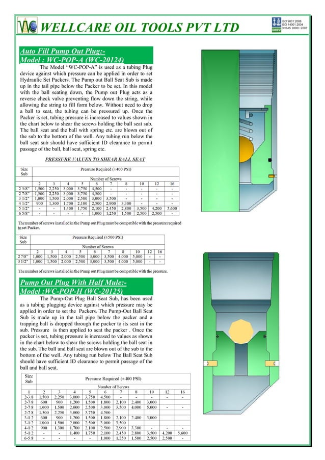 Packers & bridge plugs | PDF | Physics | Science