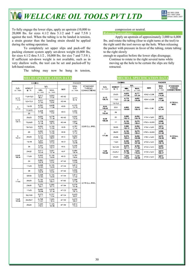 Packers & bridge plugs | PDF | Physics | Science