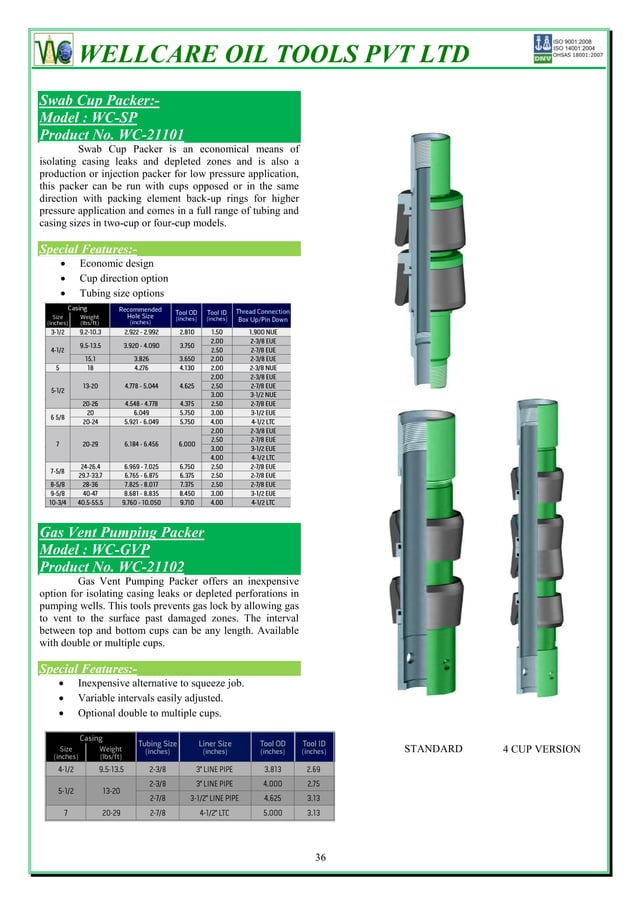 Packers & bridge plugs | PDF | Physics | Science