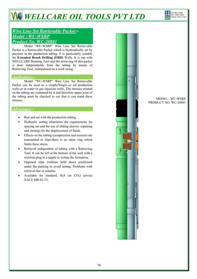 Packers & bridge plugs | PDF | Physics | Science