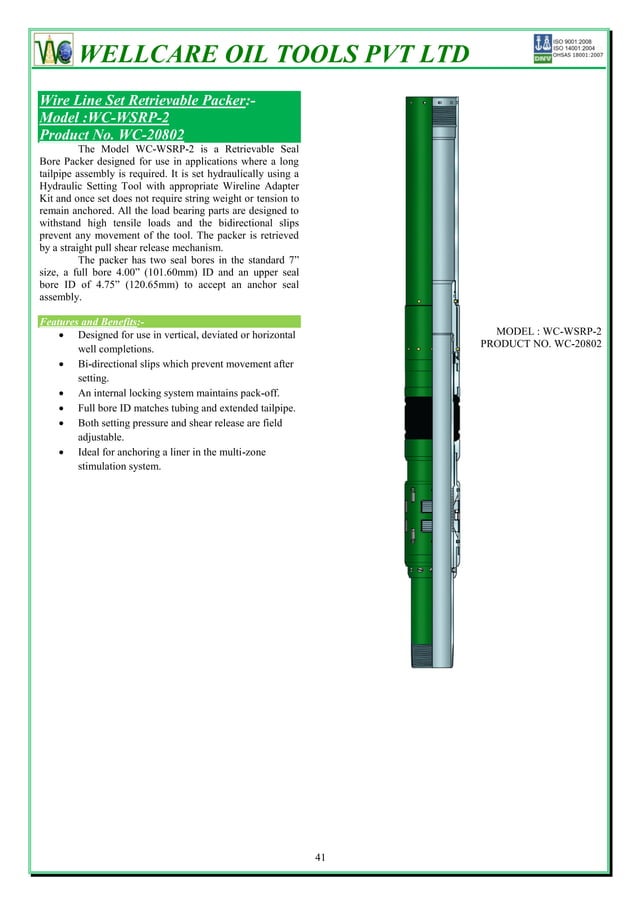 Packers & bridge plugs | PDF | Physics | Science