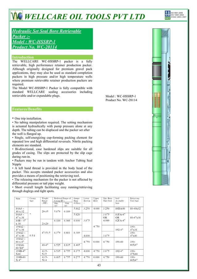 Packers & bridge plugs | PDF | Physics | Science