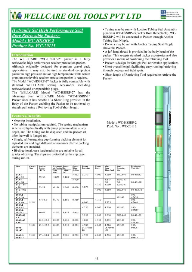 Packers & bridge plugs | PDF | Physics | Science