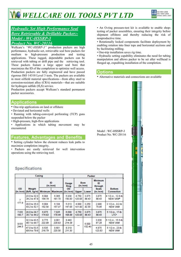 Packers & bridge plugs | PDF | Physics | Science