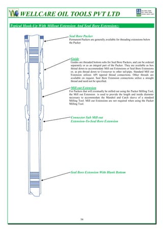 Packers & bridge plugs | PDF