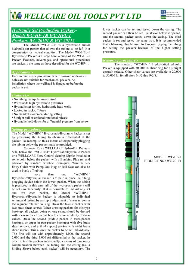 Packers & bridge plugs | PDF | Physics | Science