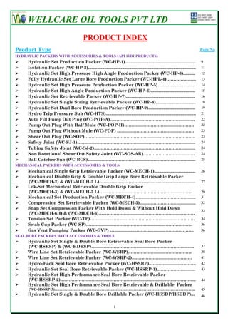 Packers & bridge plugs | PDF