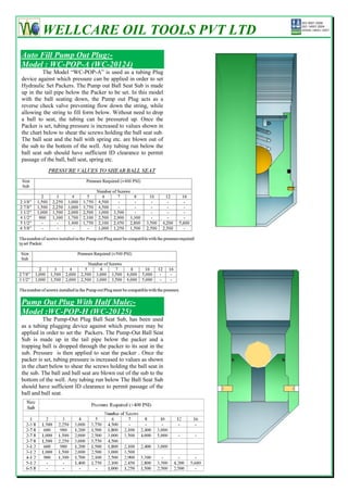Packers & bridge plugs | PDF
