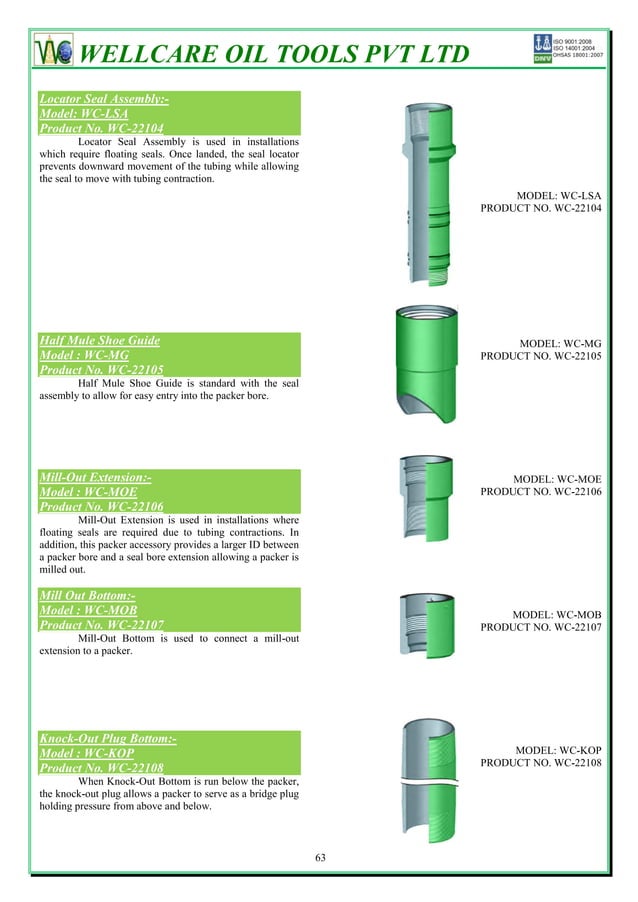 Packers & bridge plugs | PDF