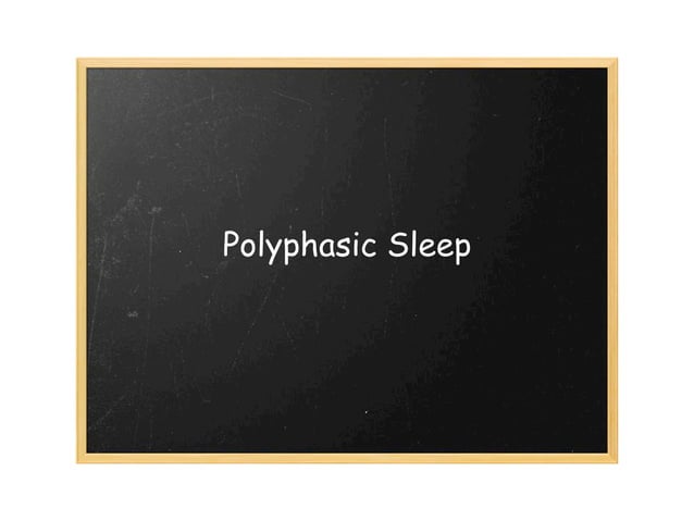 Sept 09 - Morgan Engel - A Primer on Polyphasic Sleeping | PPT