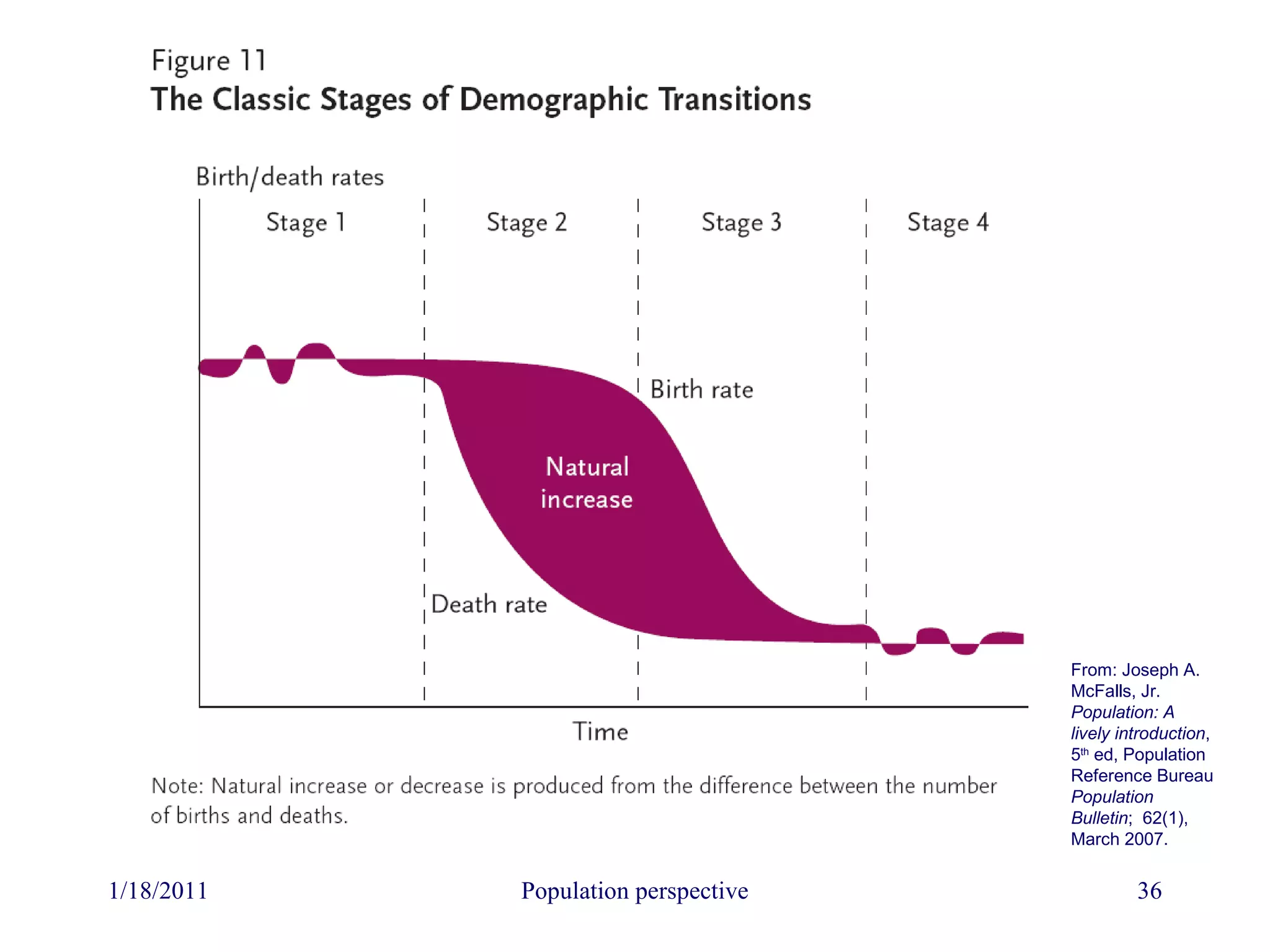 02 population perspective | PPT
