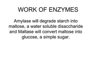 02 - Process sequence of wet processing.pdf