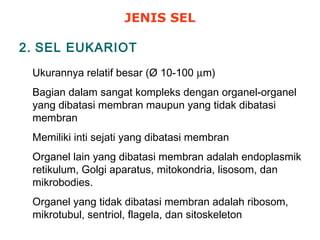 02 sejarah-teori-sel-jenis-sel (ikip) | PPT